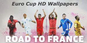 20 Stunning HD Euro Cup Wallpapers