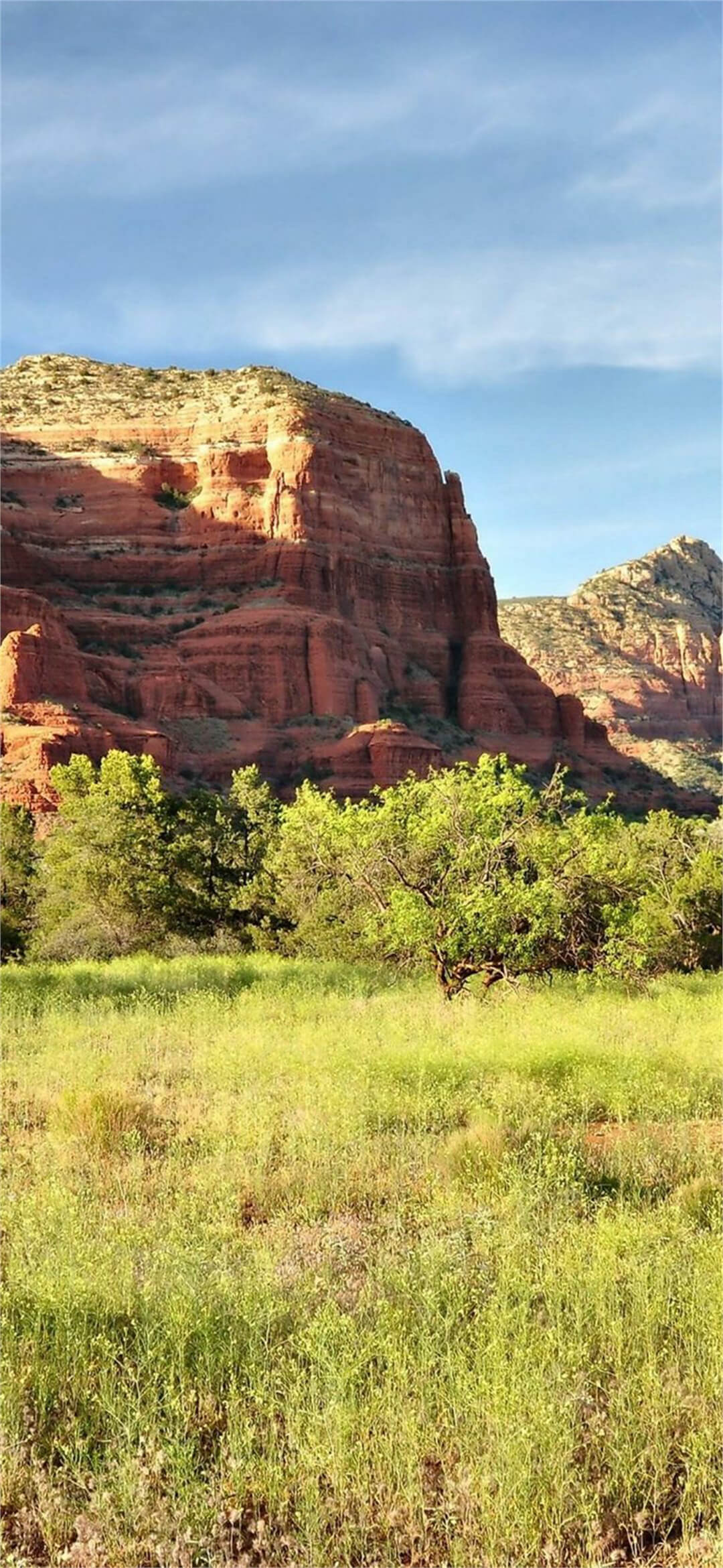 Download Redmi Note 7 Pro Stock Wallpapers